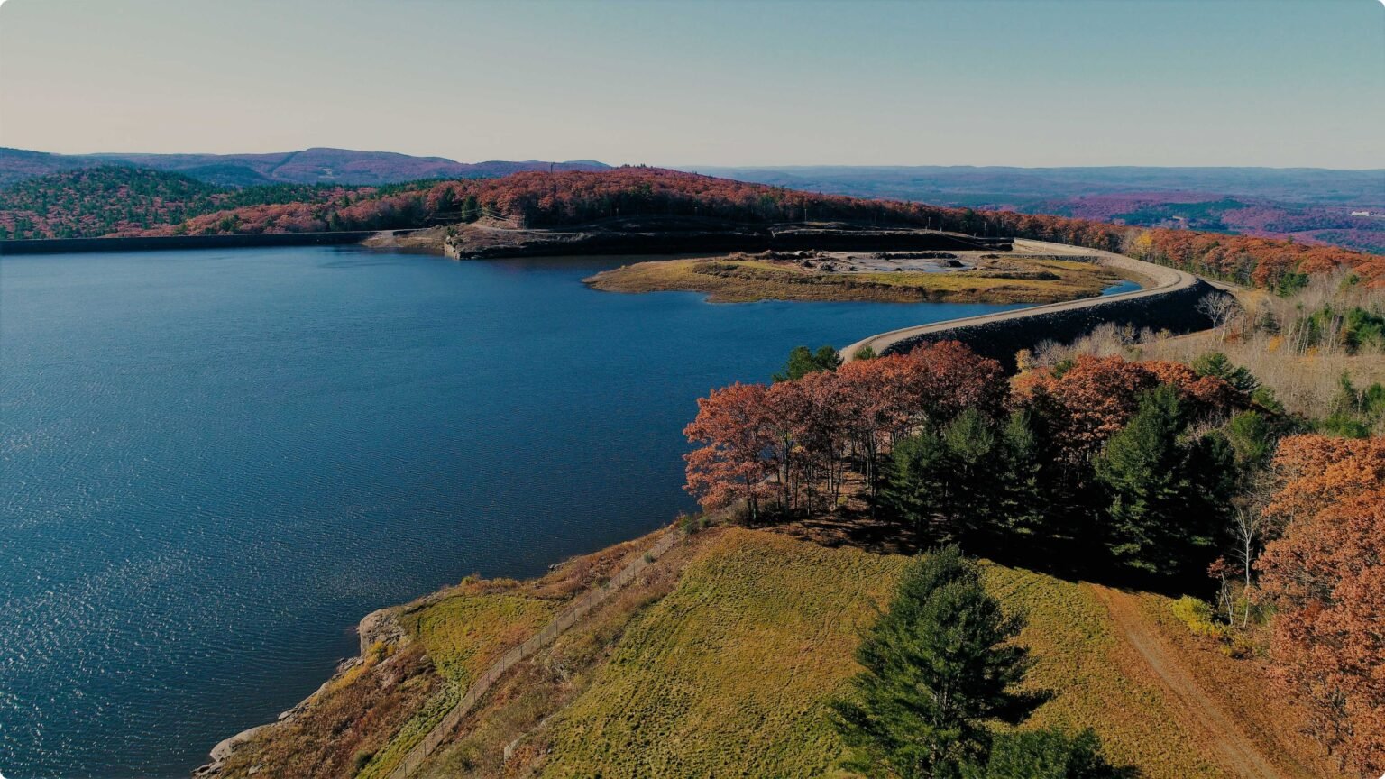 Purpose - FirstLight