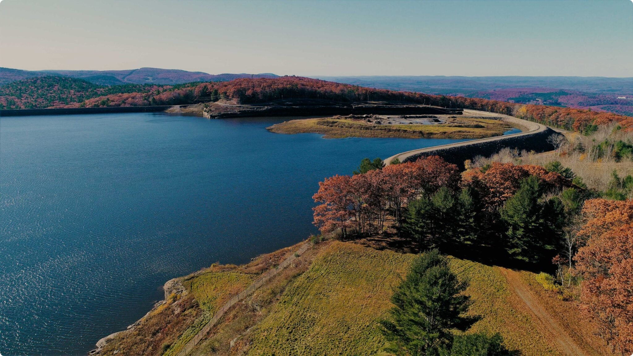 Purpose - FirstLight